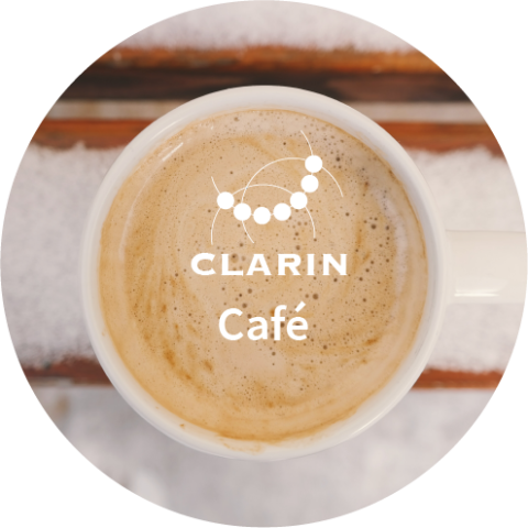 Online and Desktop Tools for Querying a Language Corpus | CLARIN-UK